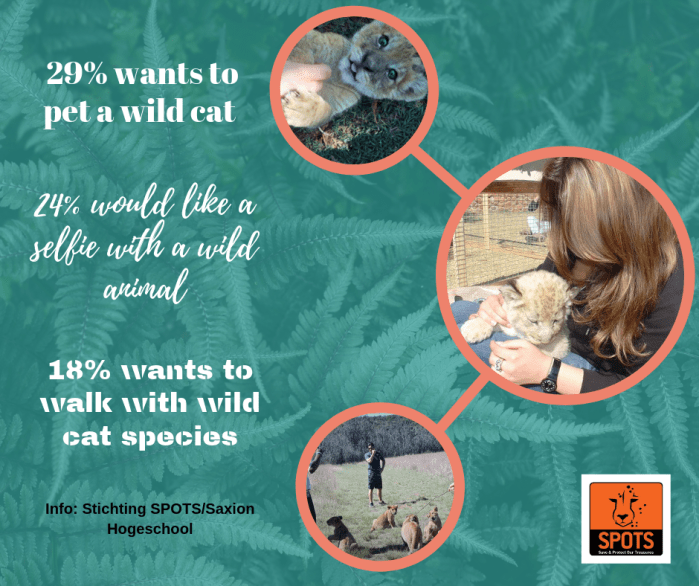 Media influences perception of wild animals (05/2019) – Lion Petting.com